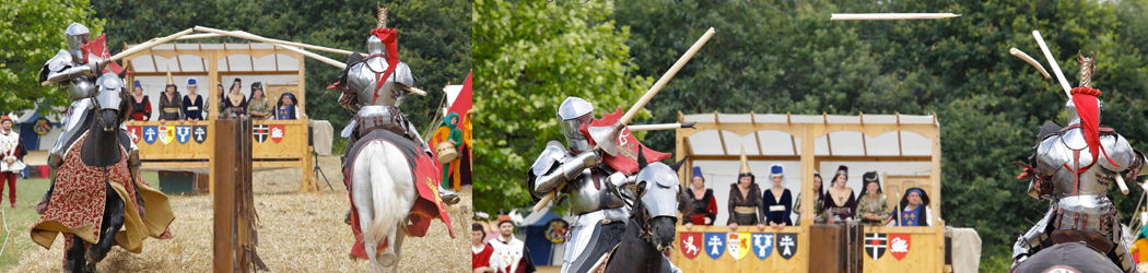 Ligue nationale de joute équestre